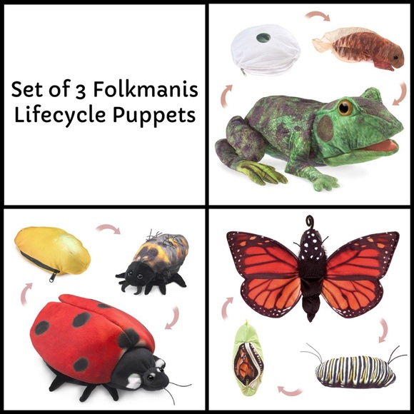 Folkmanis Puppets | Toys | Folkmanis Large Life Cycle Hand Puppet ...